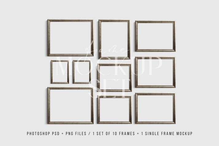 Silver Metallic Frame Mockup Set of 10 Vertical and Horizontal Frames ...