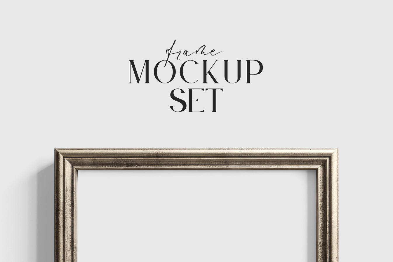 Silver Metallic Frame Mockup Set of 10 Vertical and Horizontal Frames ...